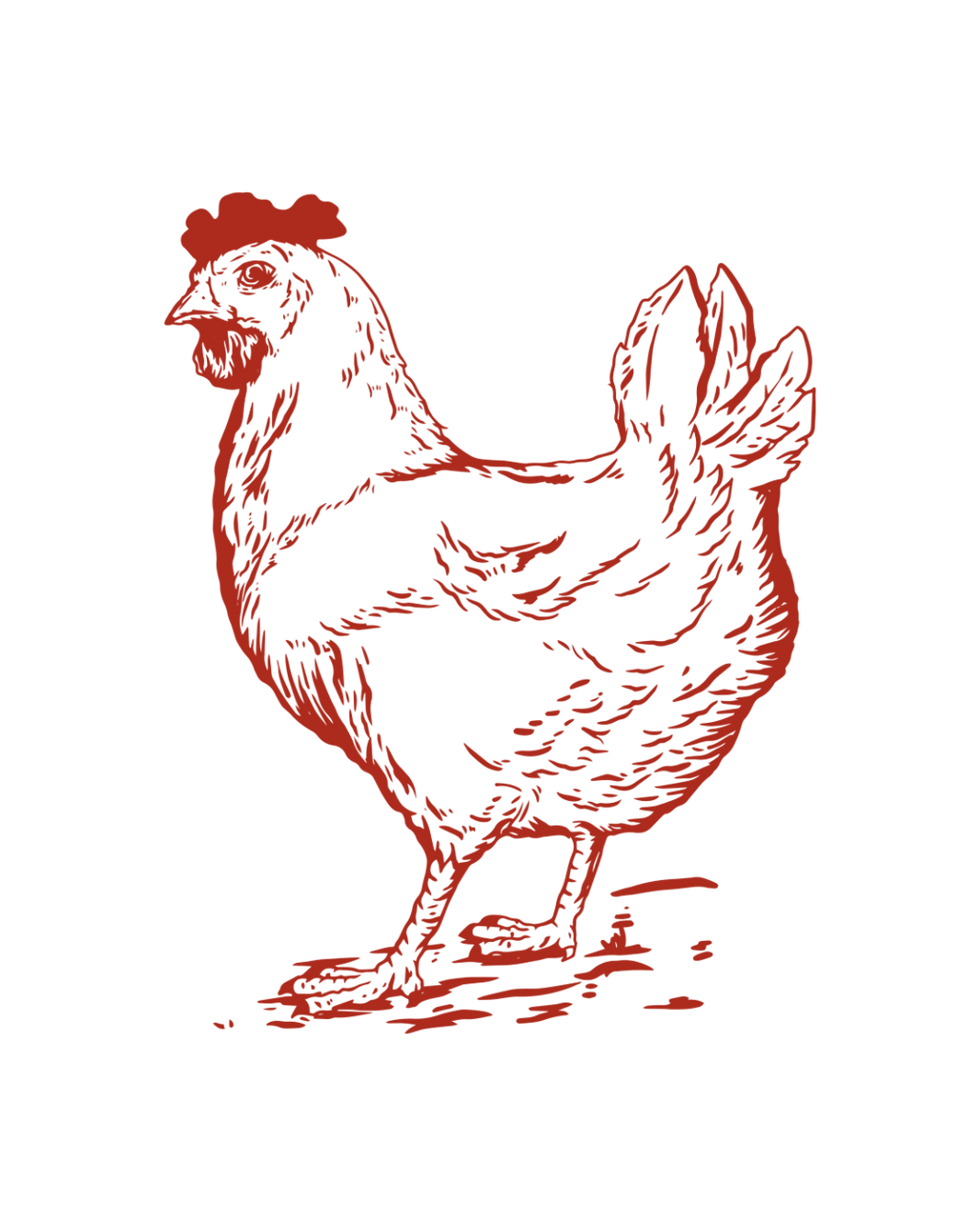 Pasture Raised Poultry | P&K Family Farms | Gainesville, Ga
